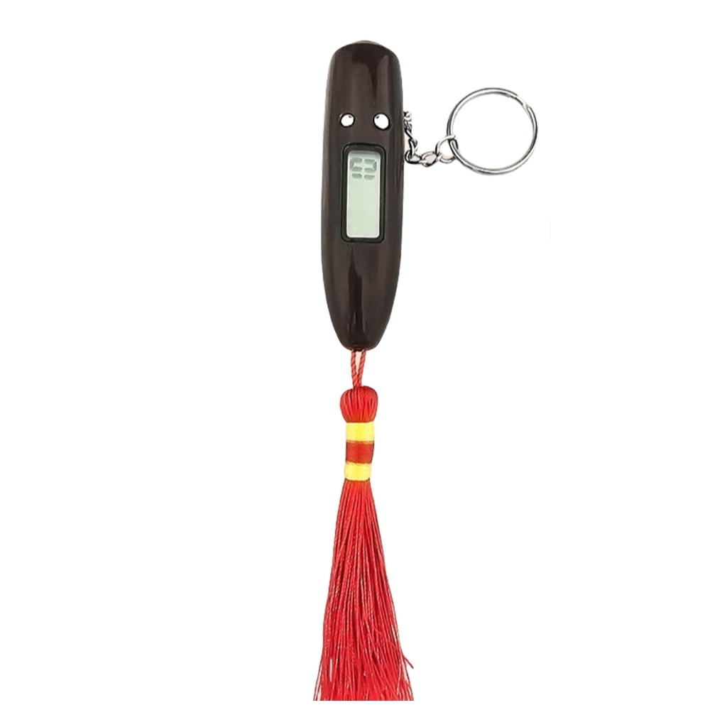 ROZYARD Handheld Electrical Digital Counter Keychain Finger Counter ...