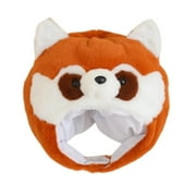 Kids Party Hats Raccoons Supplies