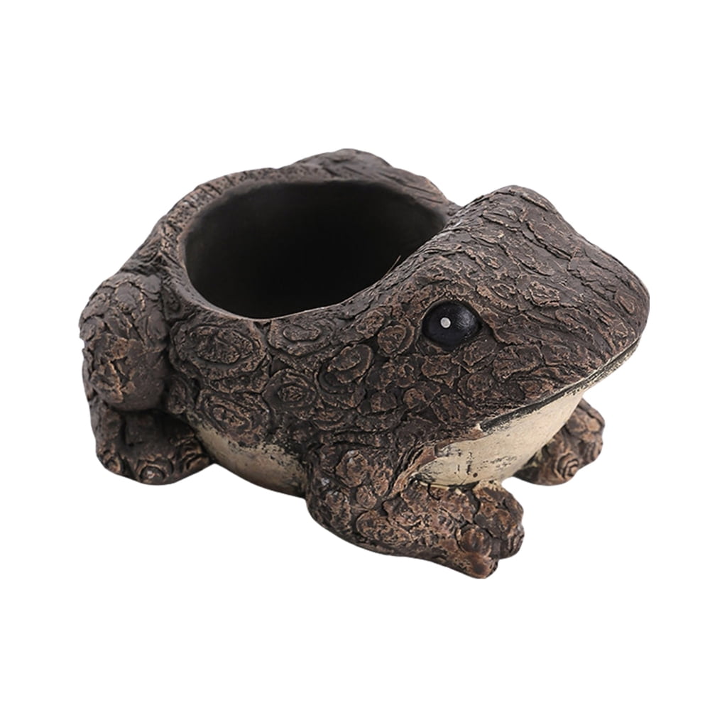 ROZYARD Succulents Planter Pots Small Succulents Pots Cute Planting ...