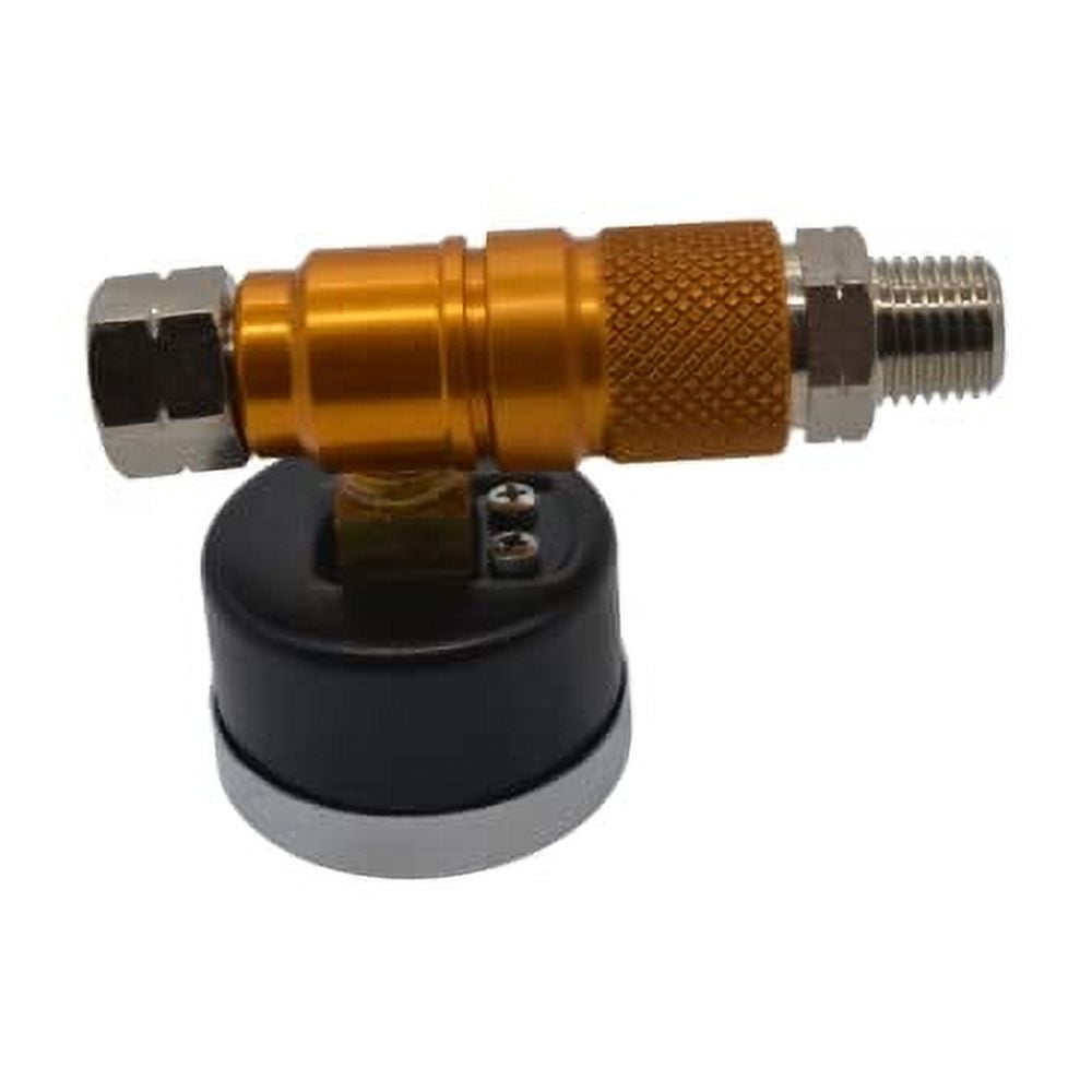 RP/1 ANI AIR Regulator with Pressure Gauge - Walmart.com