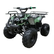 "2024 TaoTao ATA-125D Kids Size Four Quad, 125cc, Gas Powered, Fully ...