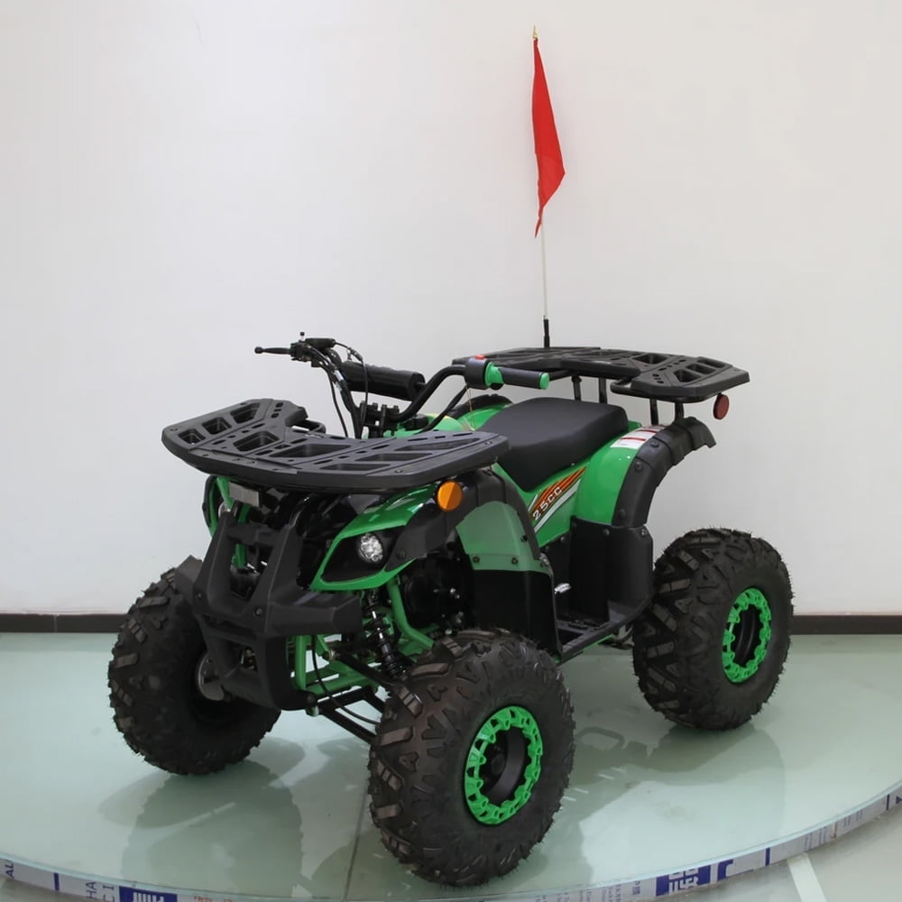 RPS 125cc ATV U8SP New Mini Desert - Walmart.com
