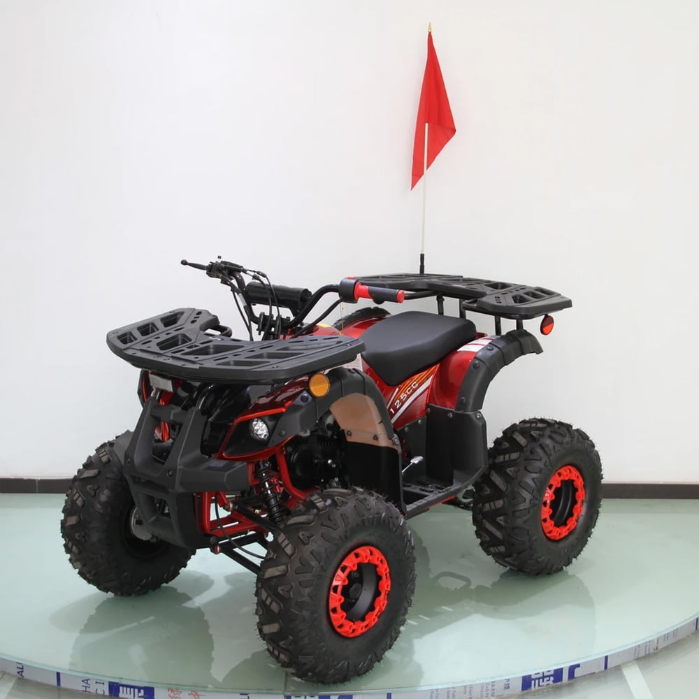 RPS 125cc ATV U8SP New Mini Desert - Walmart.com