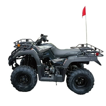 Coolster 170cc Fully Automatic Full Sized Sport ATV 3200S - Walmart.com