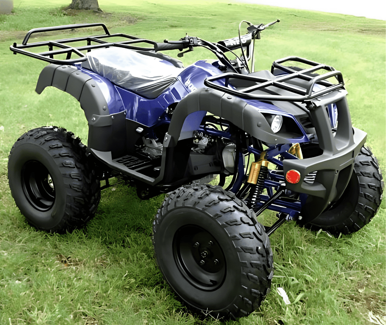 RPS Desert 200 Utility ATV Deluxe Adult ATV – 149cc, Automatic with ...