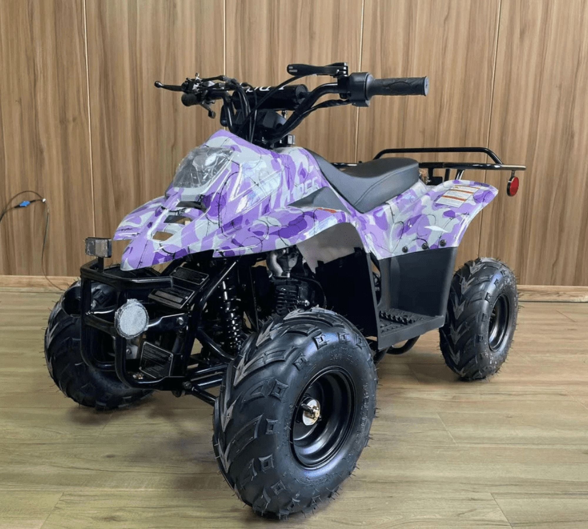 RPS Dinosaur ATV110-6S ATV – 110cc, Automatic Transmission, Electric ...