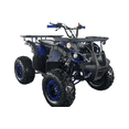 RPS Mini Desert 125CRT ATV, 125cc, Automatic with Reverse, Disc Brakes ...