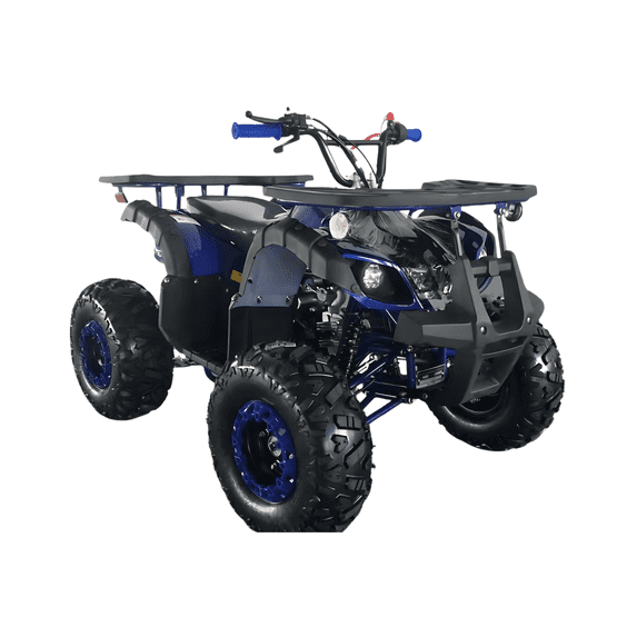RPS Mini Desert 125CRT ATV, 125cc, Automatic with Reverse, Disc Brakes ...