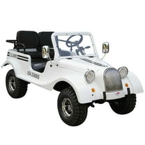 Ricky-power-sports RPS 2 Seater 125cc 7.75HP Gasoline Go-Kart - Camo ...