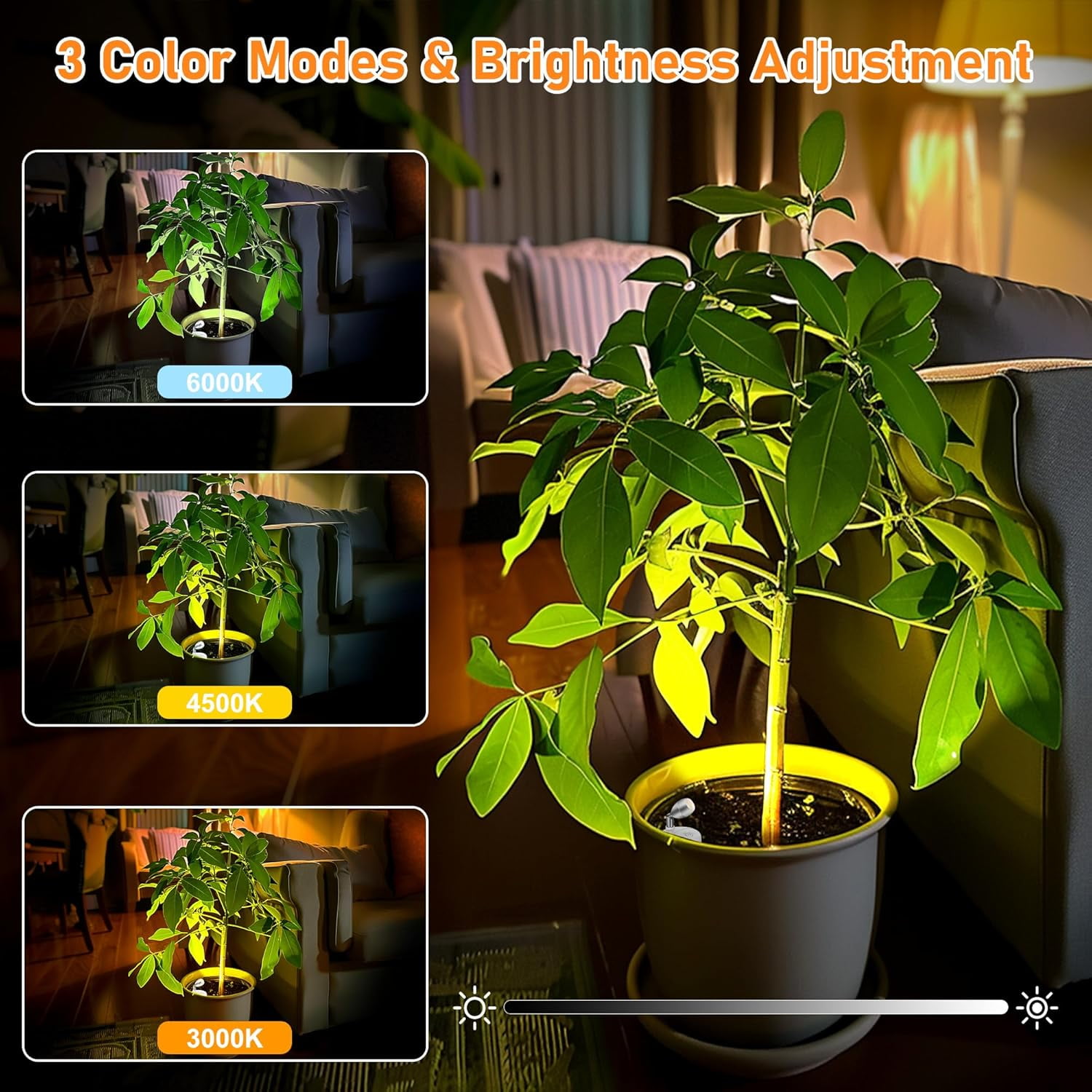 RRDWQ-4 Pack Wireless Spot Lights Indoor, Battery Operated Uplighting ...