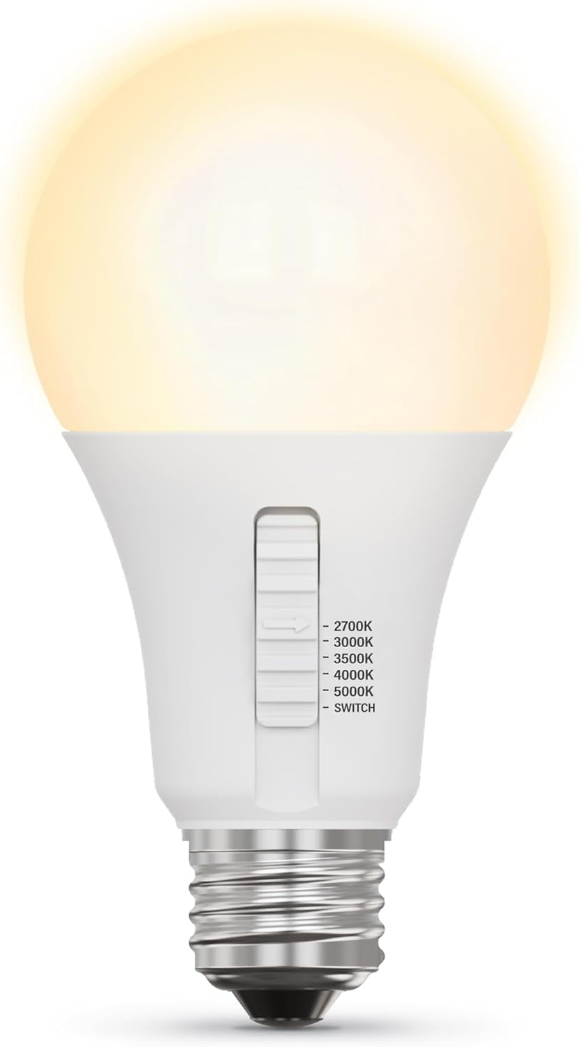 RRDWQ-A21 100W LED Light Bulb, 100W Equivalent, Dimmable, Color ...