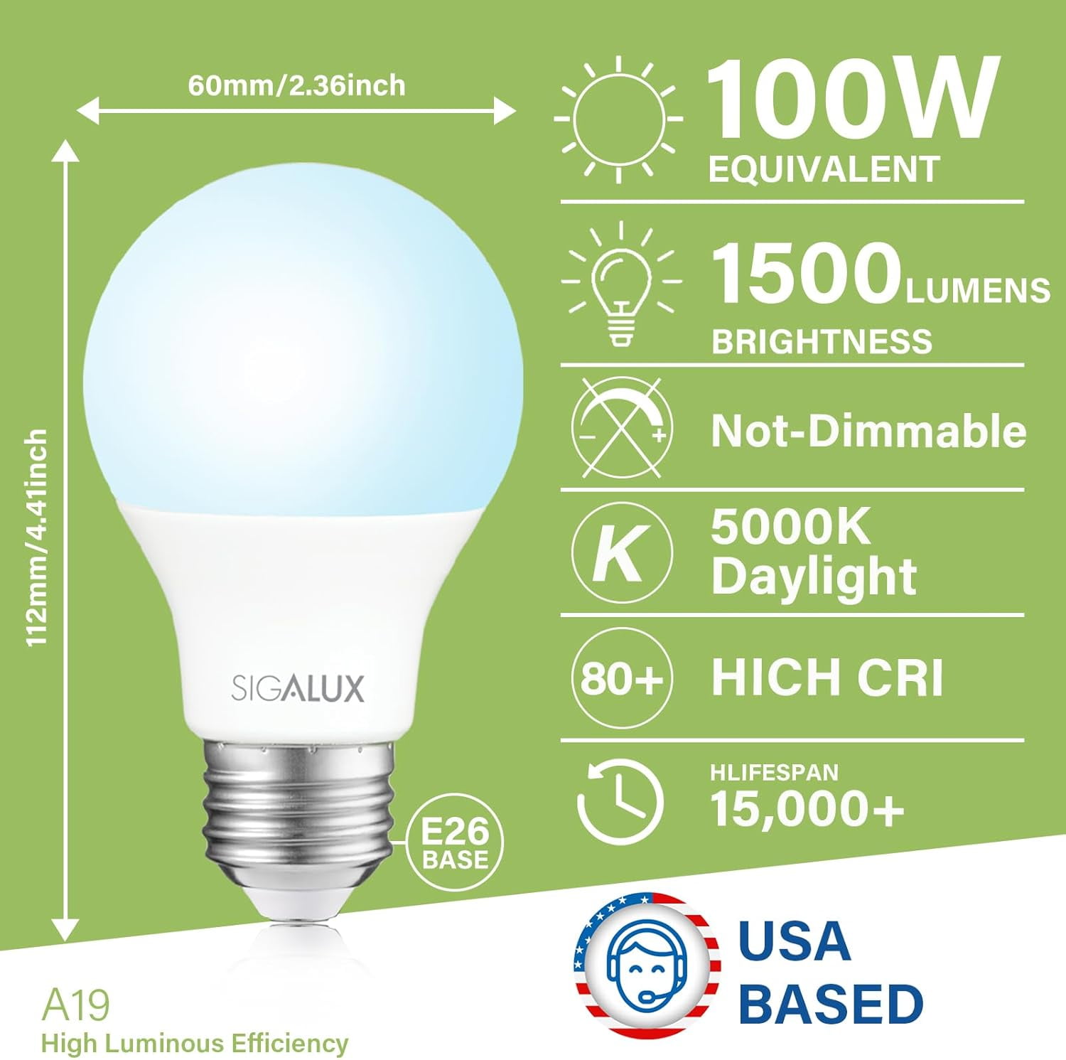 RRDWQ-Light Bulbs 100 Watt Equivalent,A19 Daylight Standard LED Bulbs ...