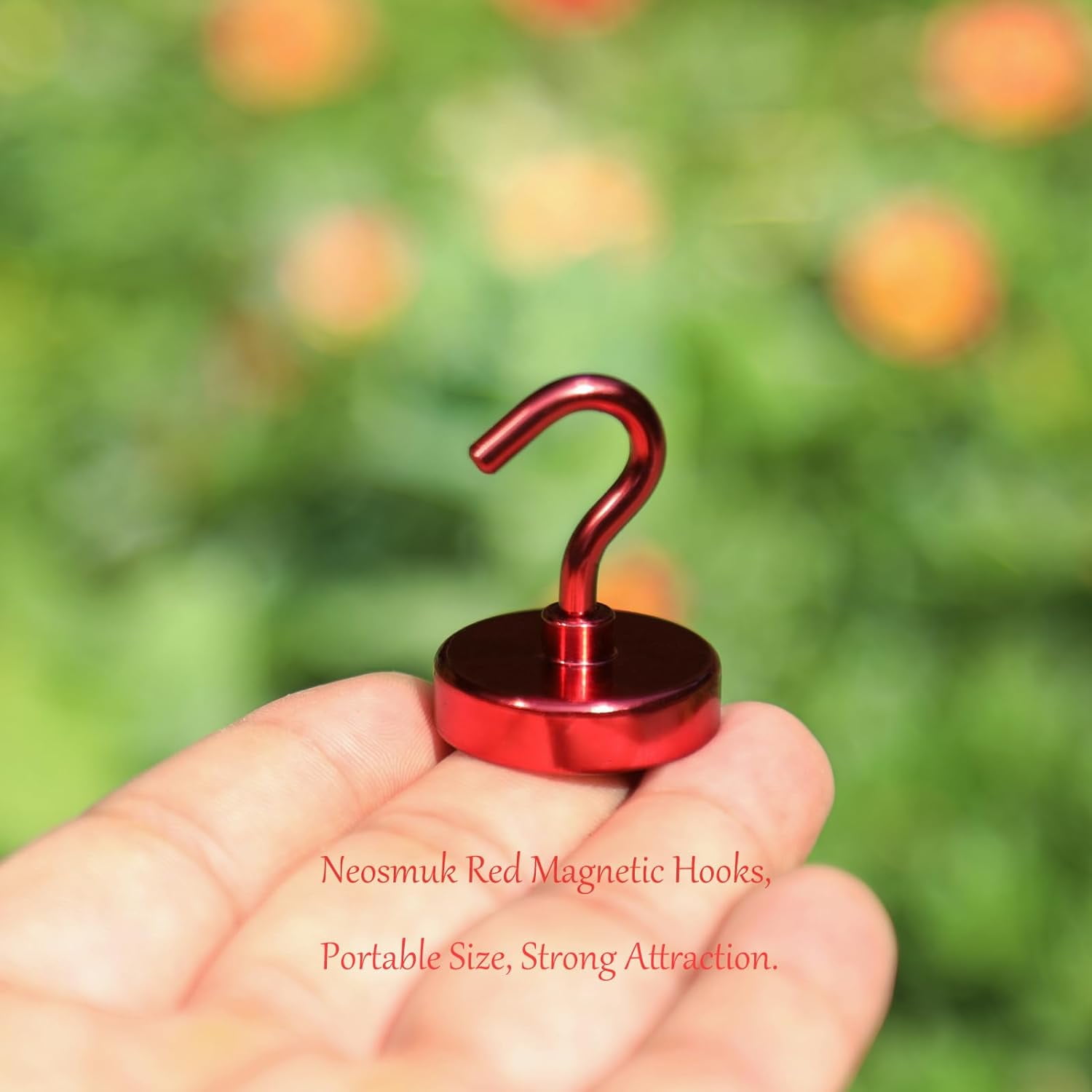 RRDWQ-Magnetic Hooks,Heavy Duty Earth Magnets with Hook for ...