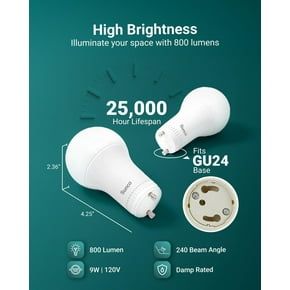 2 Prong Light Bulb