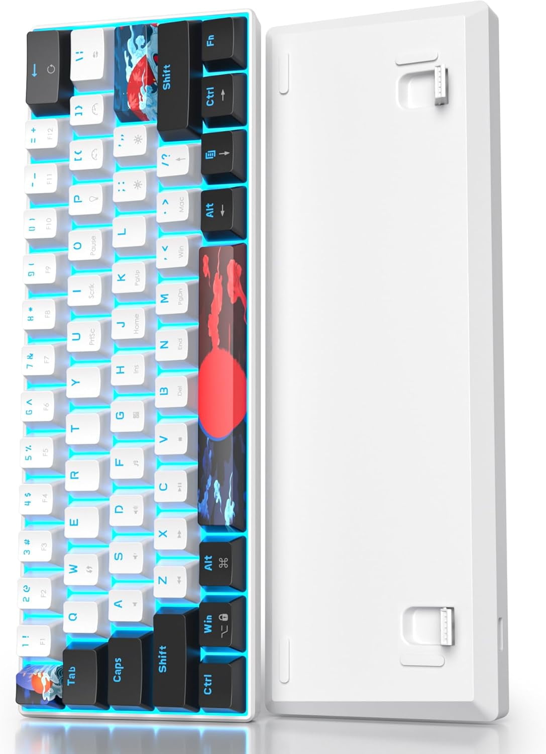 RREGER-60 Percent Gaming Keyboard 61 Keys Mechanical Keyboard Ultra ...