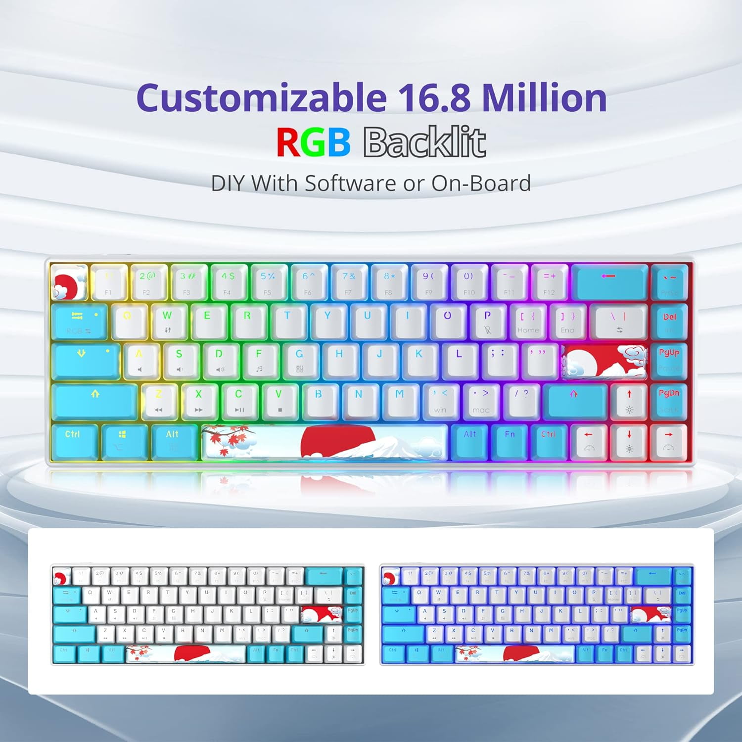 RREGER-65% Mechanical Keyboard 68-Key Wired Gaming Keyboard with Blue ...