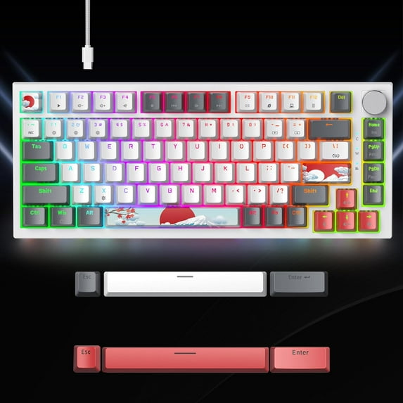 RREGER-75% Percent Mechanical Keyboard with Knob, Gasket Mouted Wired ...