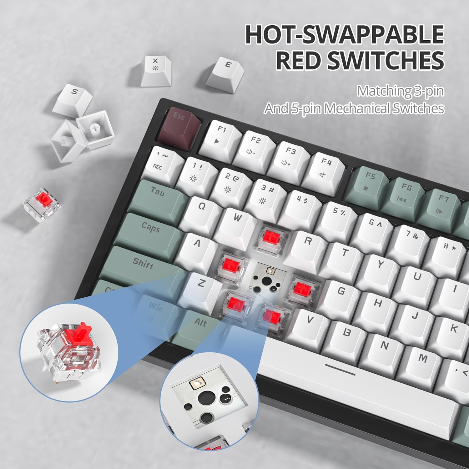 RREGER-75% TKL Wired Mechanical Keyboard,RGB Backlit Gasket Mount 82 ...