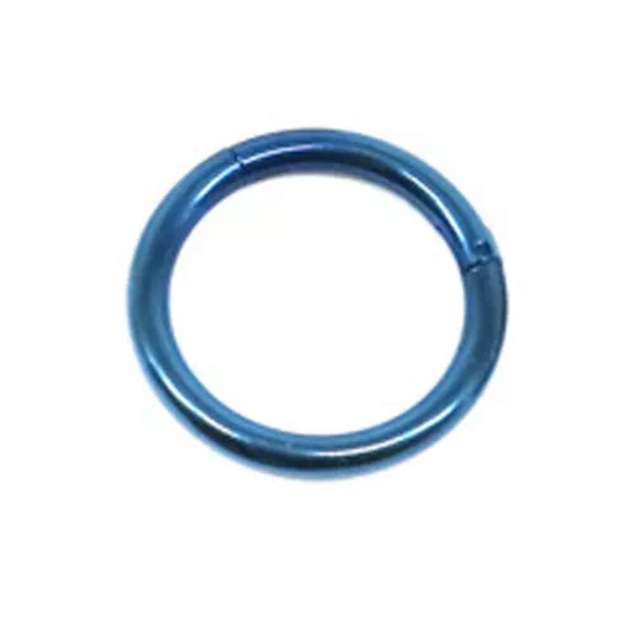 RSAMD 100% Titanium Hinged Segment Ring Hoop Ear Lip Nose Piercing ...