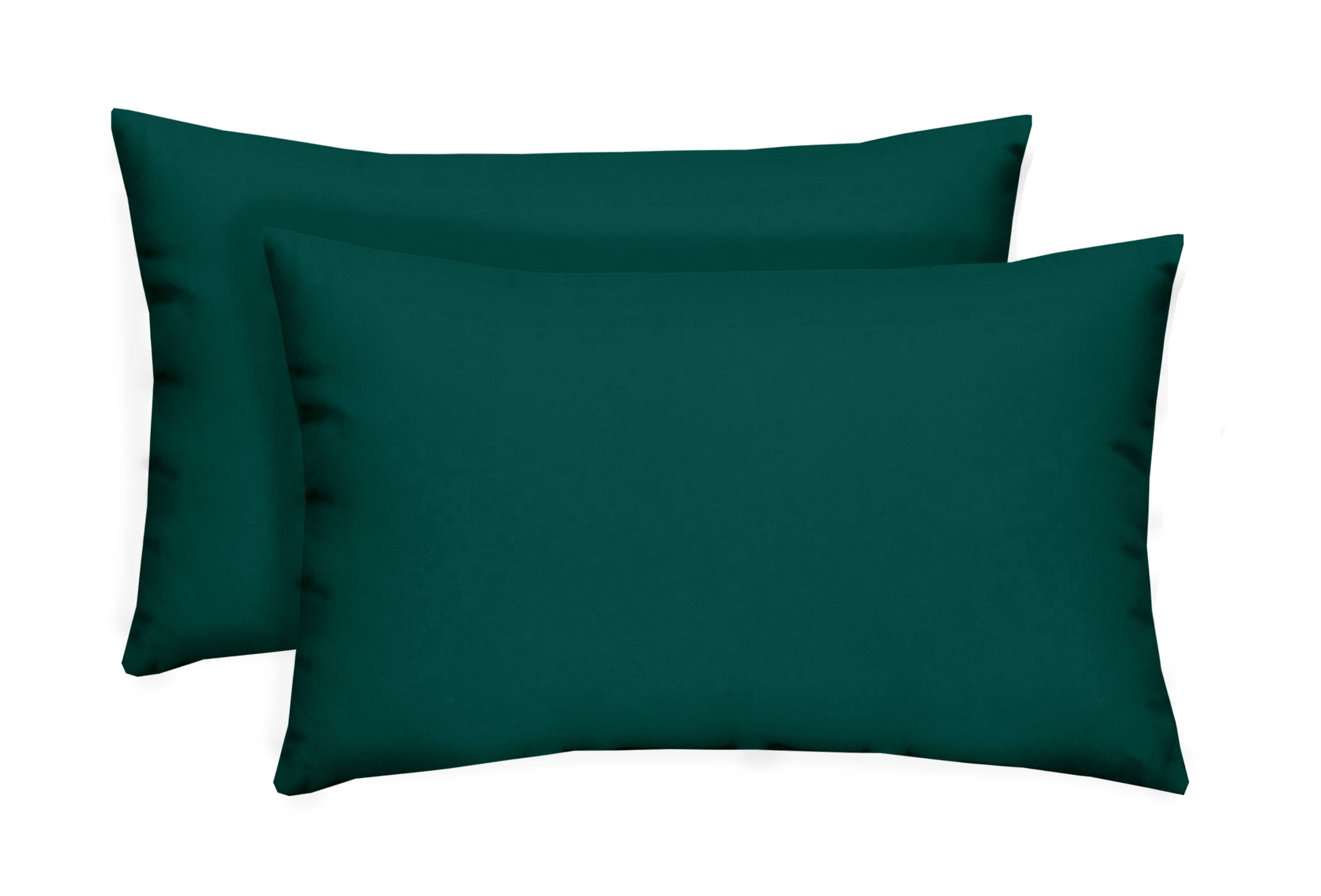 RSH Decor: 2 Lumbar Support Pillows | 26" x 16" | All-Weather Spun ...