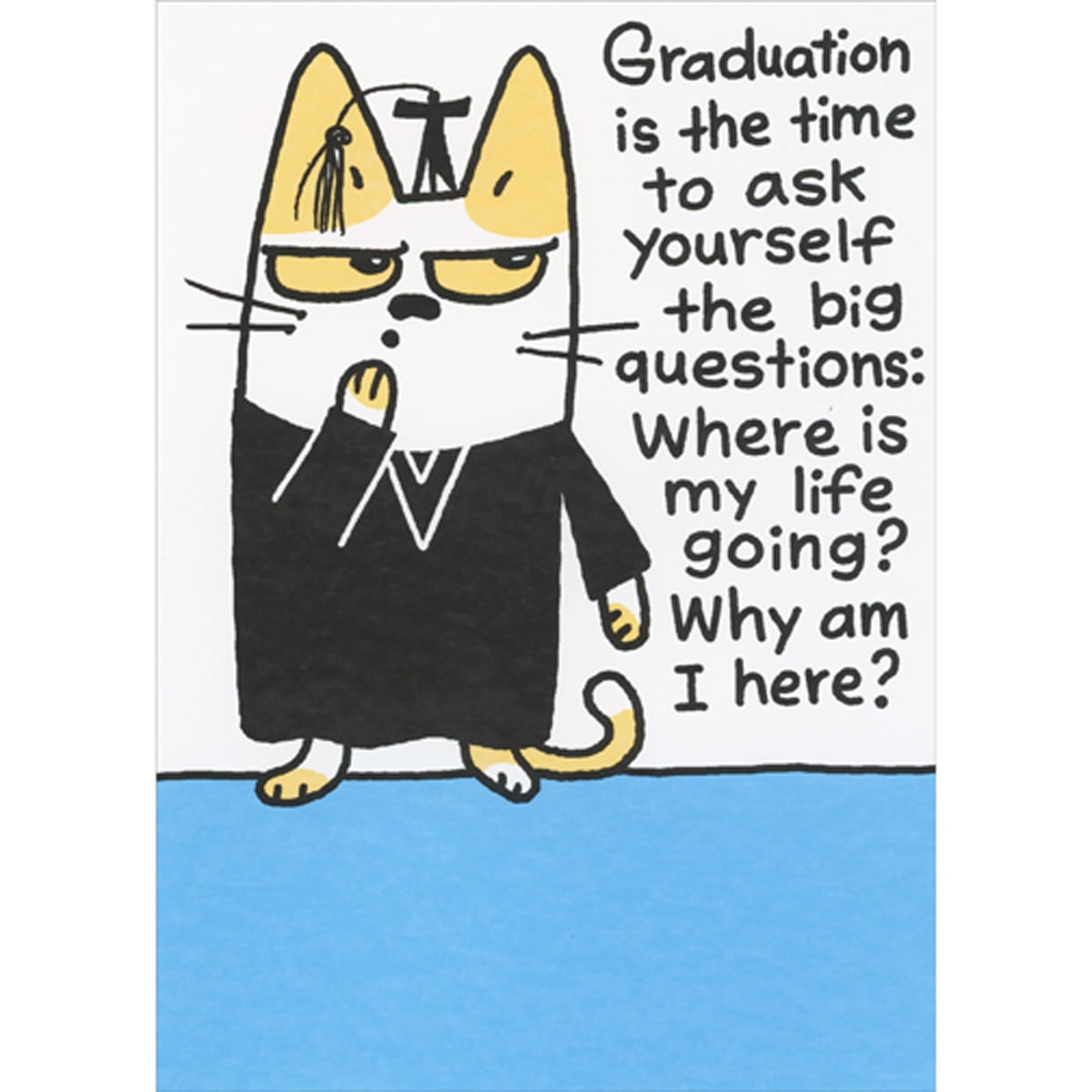 RSVP Cat Grad: Time to Ask Yourself the Big Questions Funny / Humorous ...