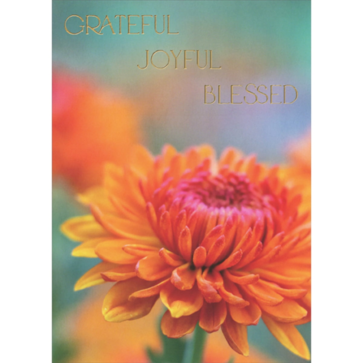 RSVP Grateful, Joyful, Blessed: Orange Flower Closeup Photo ...