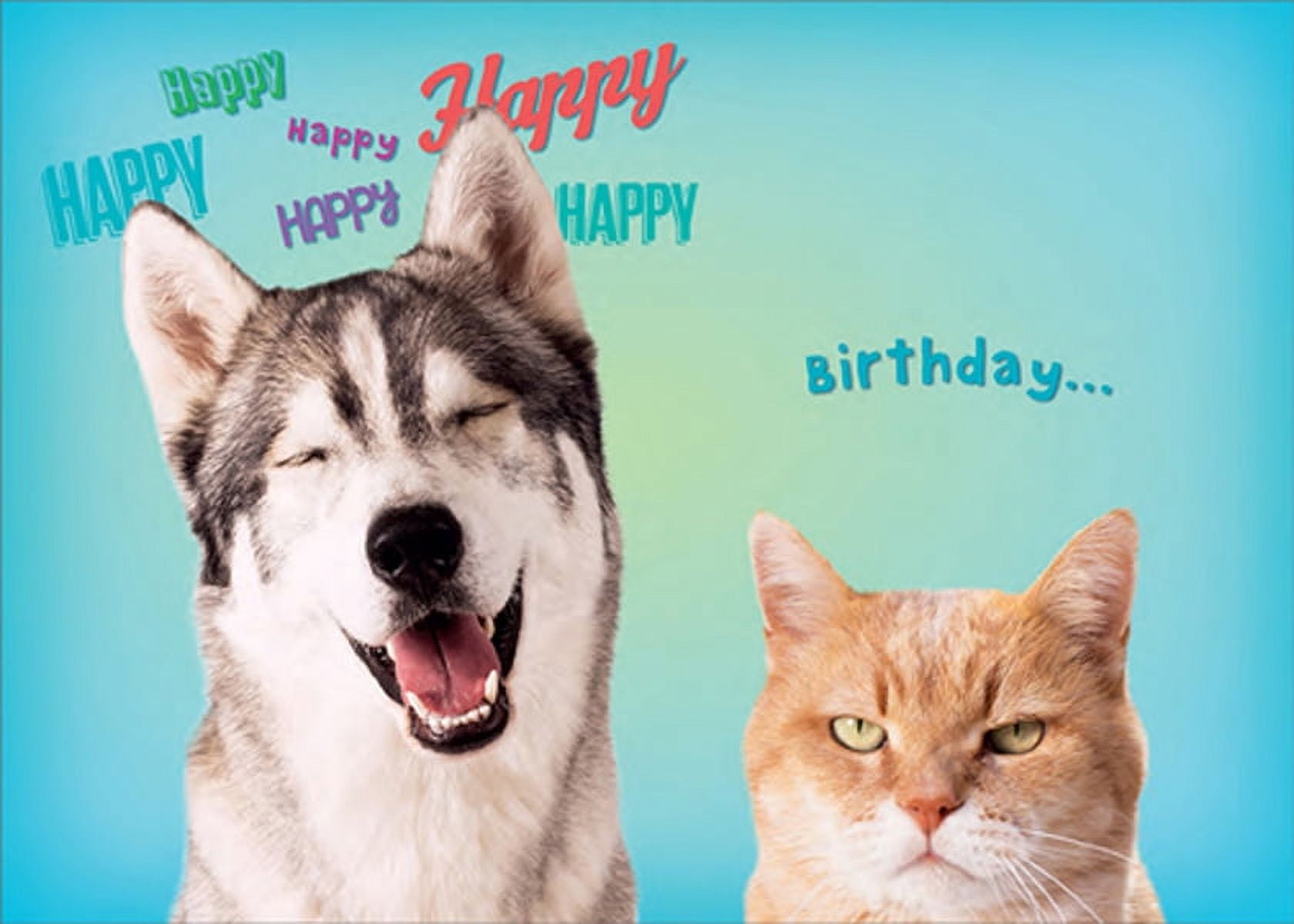 Dog And Cat Happy Birthday
