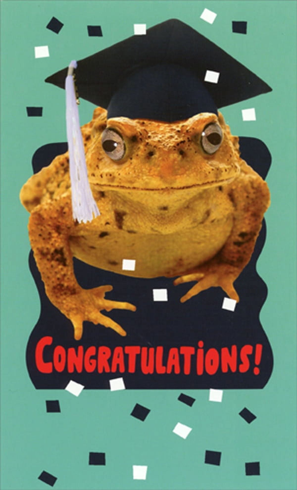 RSVP Toad Wearing Grad Cap Funny : Humorous Money Holder or Gift Card ...