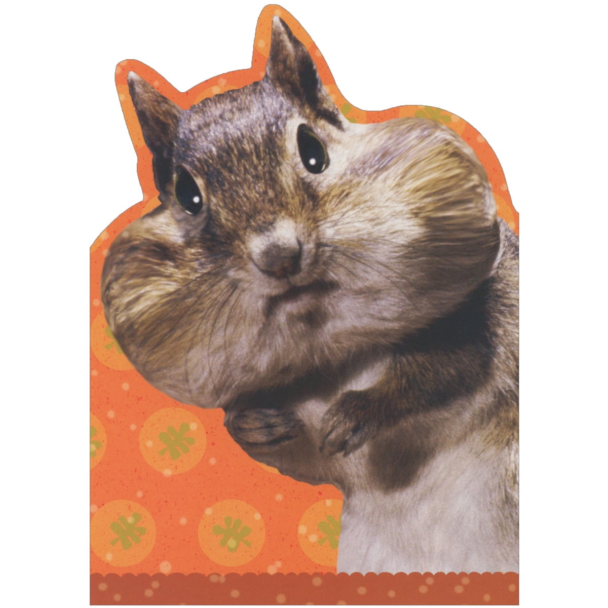 RSVP What Pumpkin Pie: Chipmunk with Full Cheeks Die Cut Humorous ...