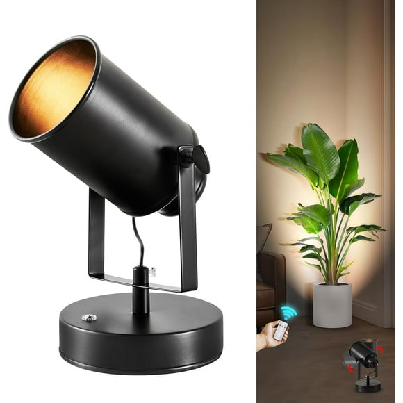 Rechargeable Cordless Floor Lamps