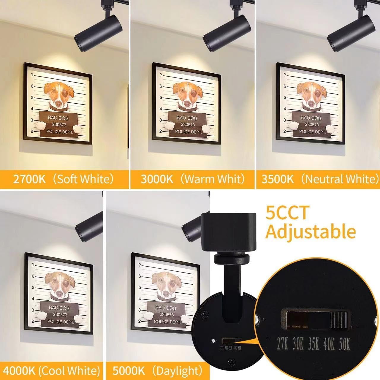 RTHG-5-Color LED Track Lighting Heads 12W Dimmable,Adjustable Beam ...