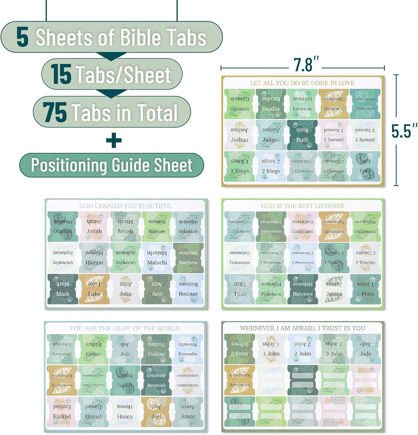 RTHG-Bible Tabs, 75 Tabs, Coastal Meadow, Laminated Bible Tabs for ...