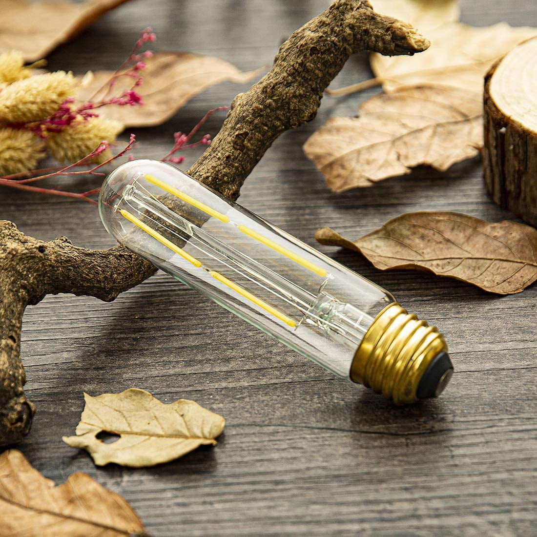 RTHG-Dimmable 4W Edison Led Tubular Bulb T10, Daylight White 4000K ...