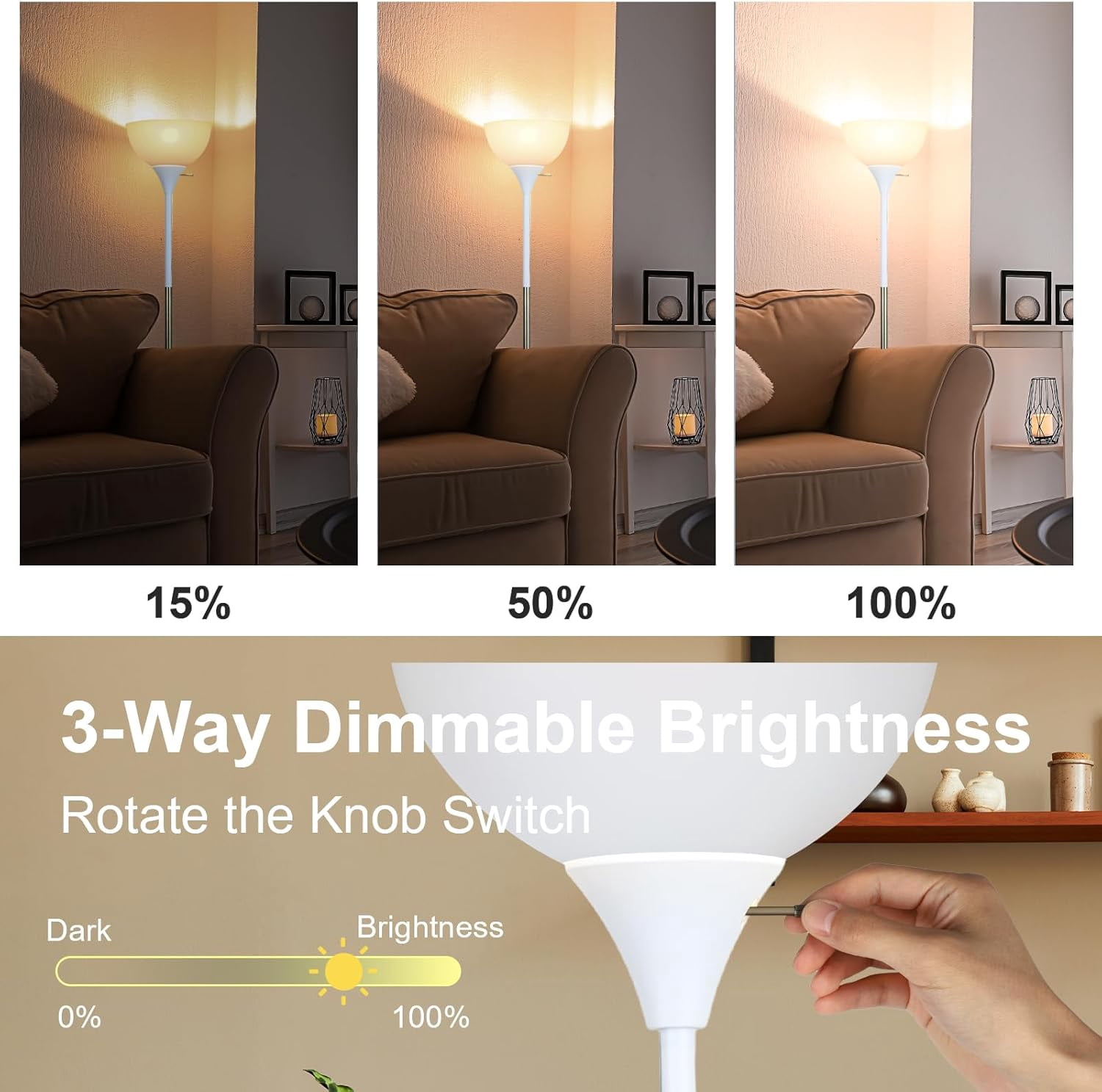 Floor Lamp 3 Way Switchnull