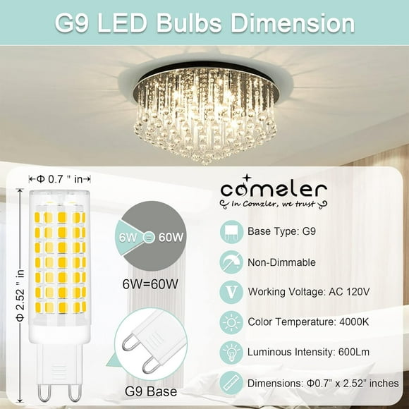 K Van Bourgondien Bulbs