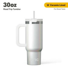 Stanley Mistletoe Limited Edition 40oz Quencher H2.0 Flowstate Tumbler ...