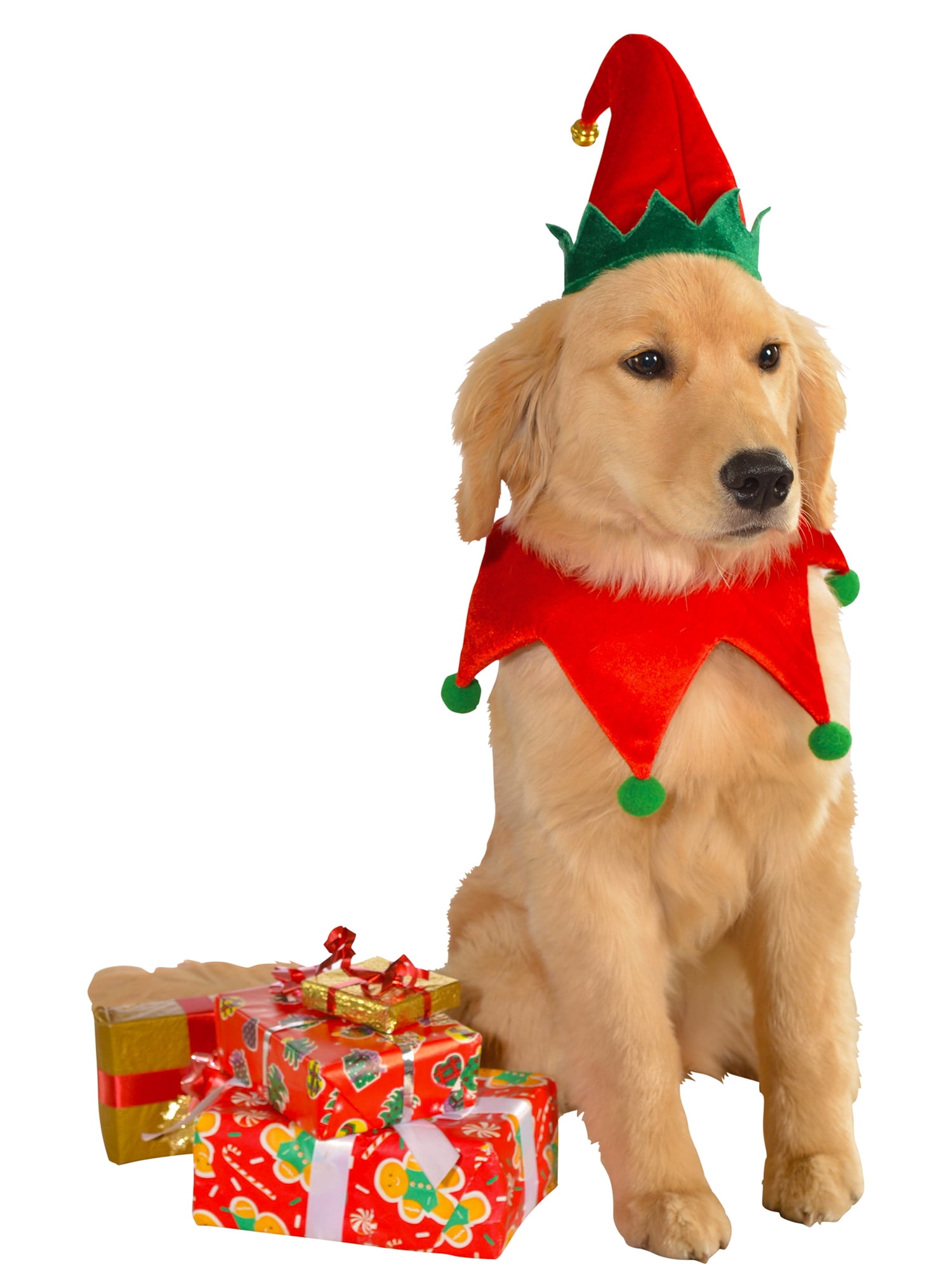 Rubies Holiday Elf Pet Costume Accessory Set for Dogs or Cats, Medium ...