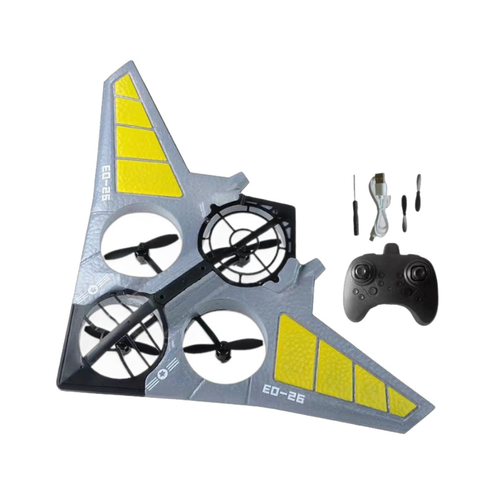 RUIG Beginner RC Airplane Glider - Easy Fly Remote Control Aircraft Toy ...