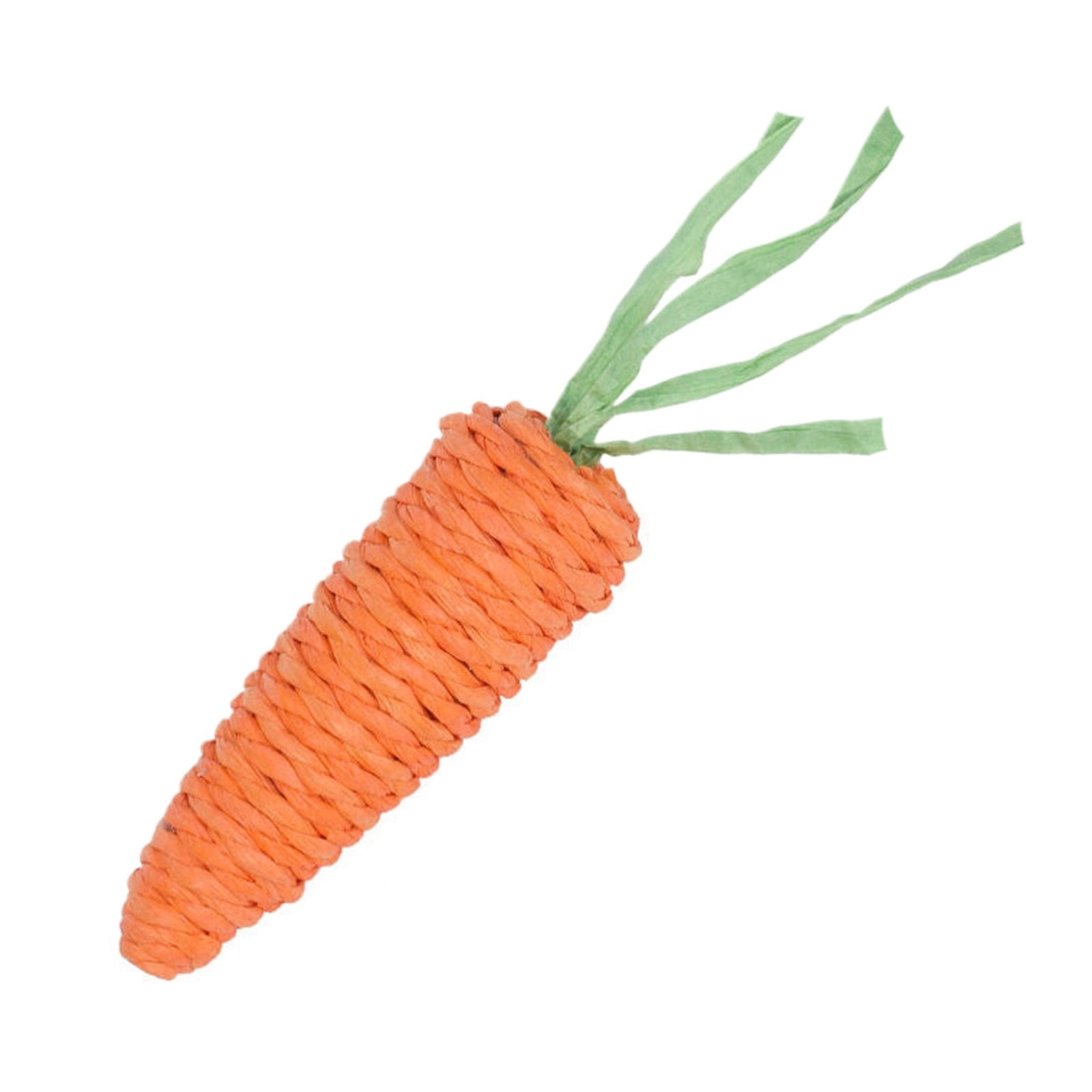RUIG Interactive Cat Toys, Carrot Cat Toys, Cat Dental Chew Toy Kitten ...