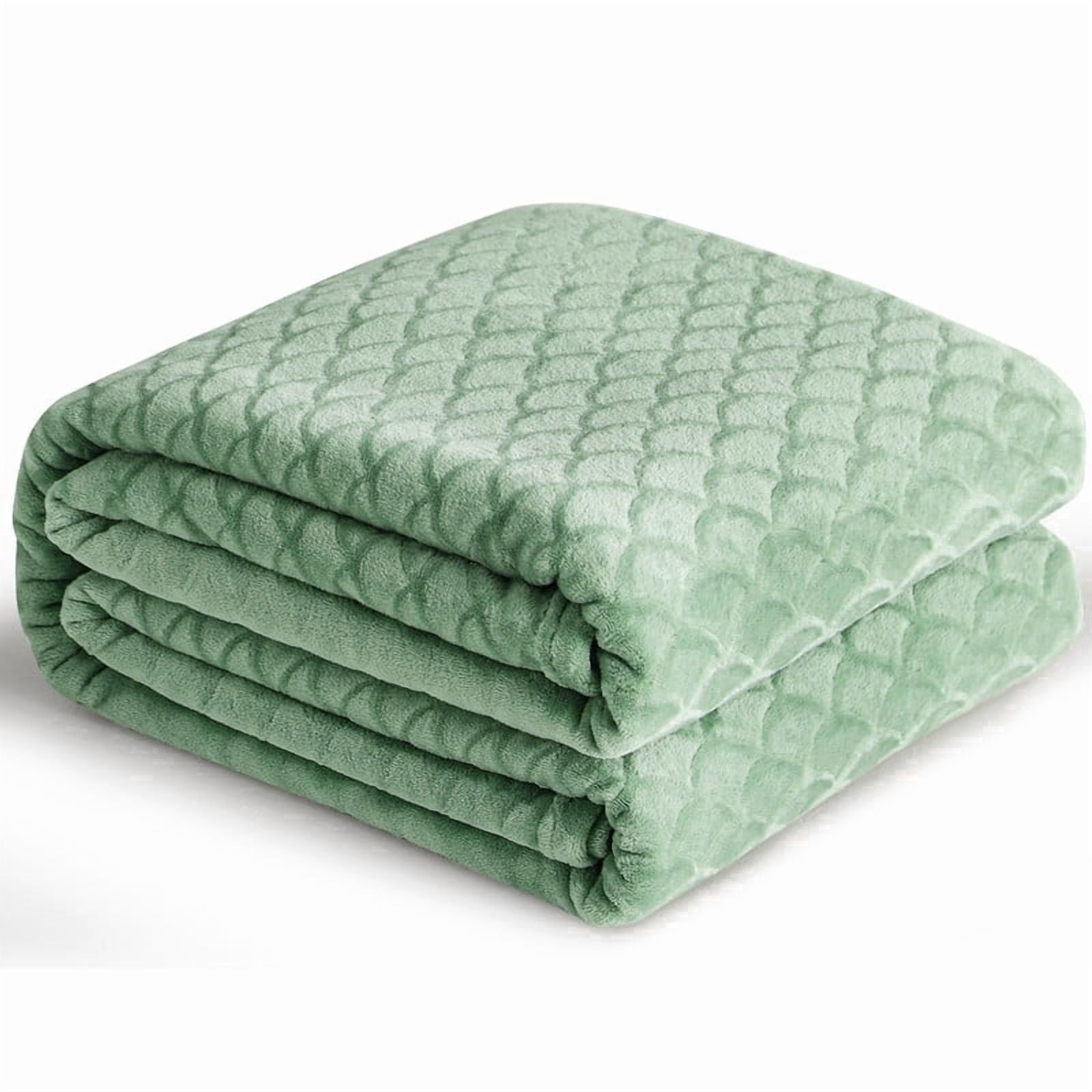 RUIKASI Brushed Flannel Blanket Winter Green Queen, Super Soft and Cozy ...