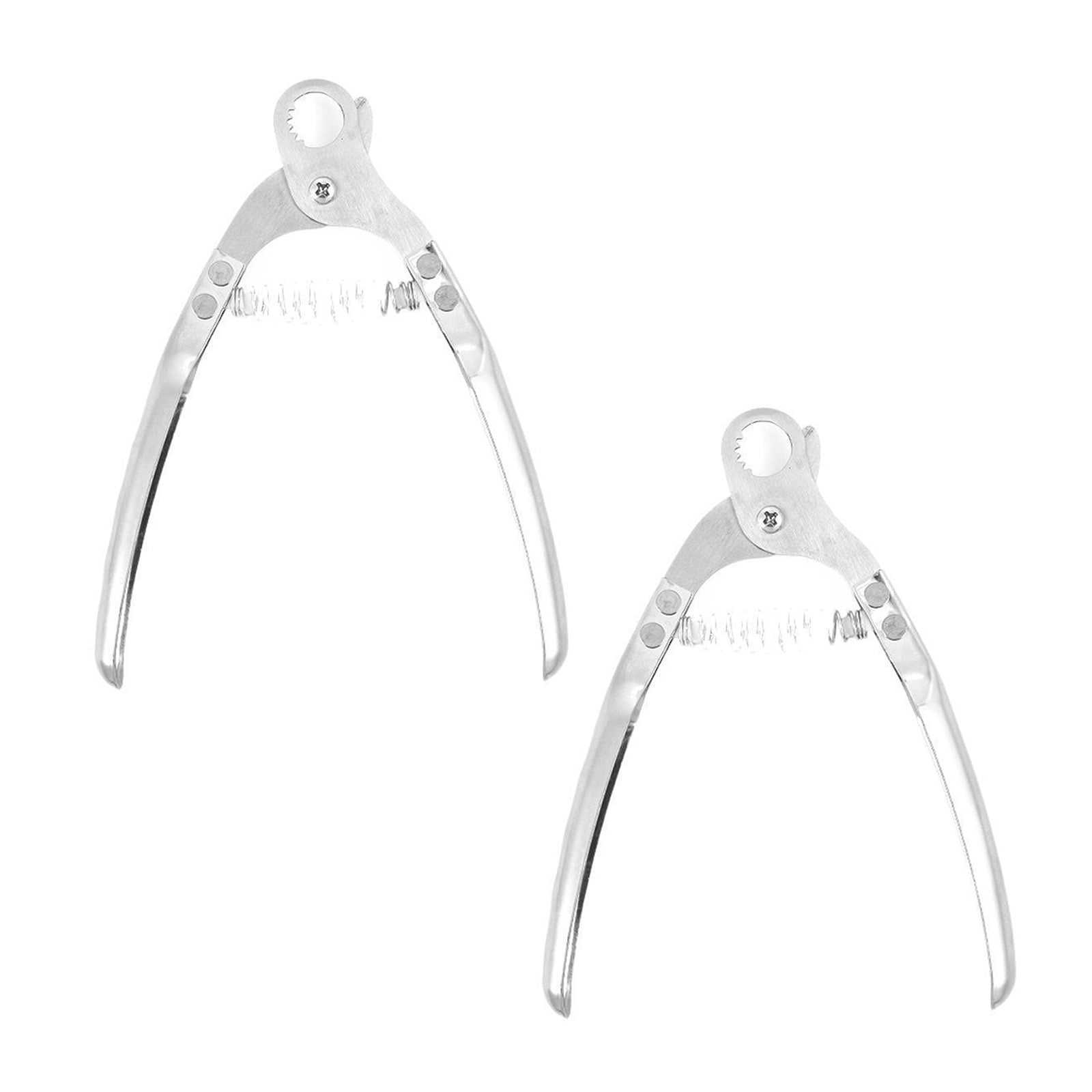 RUISINERY 2pieces Stainless Steel Snail Tail Cutter Seafood Scissors ...