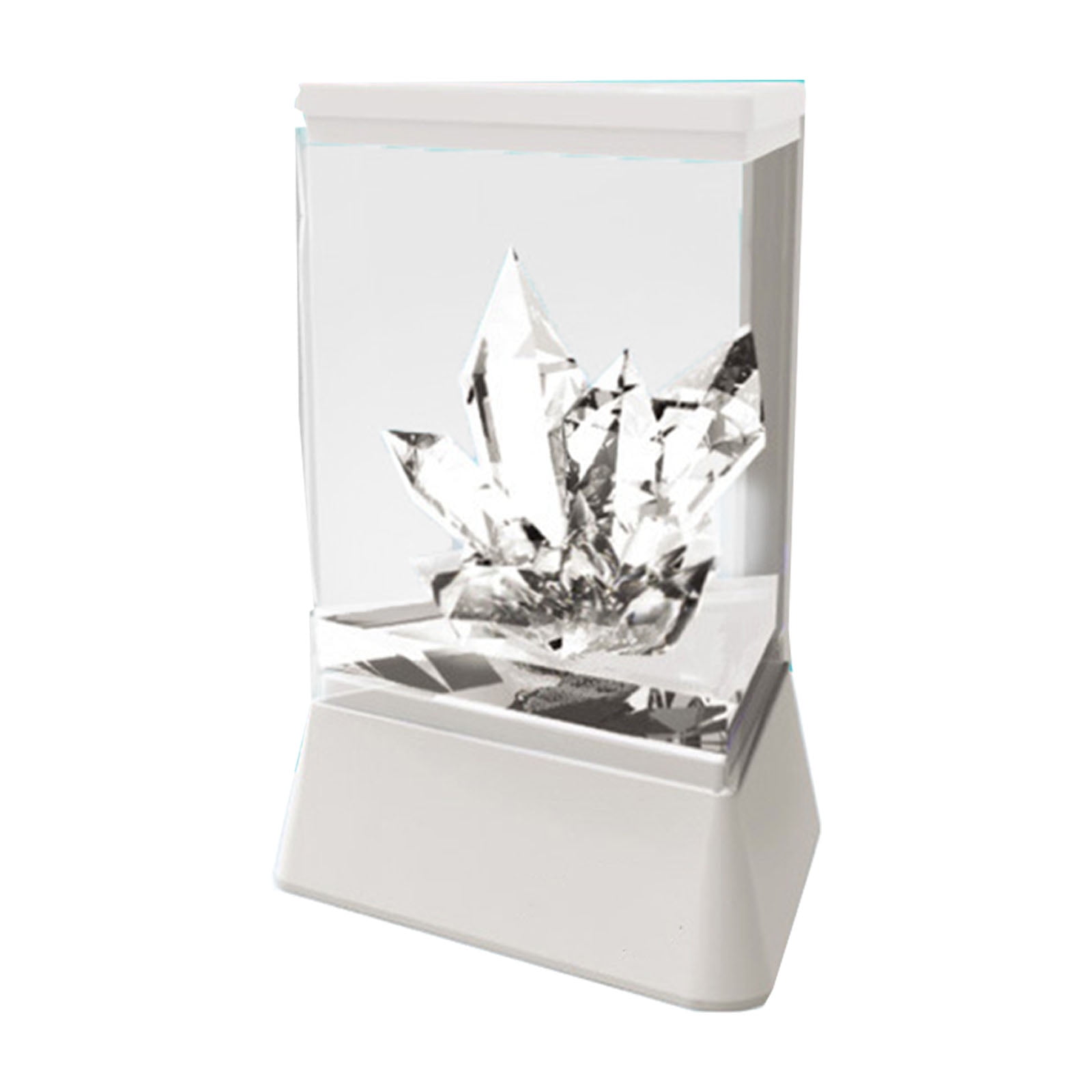 RUISINERY Kids Mni White Crystal Growing Set Science Study Accessories ...