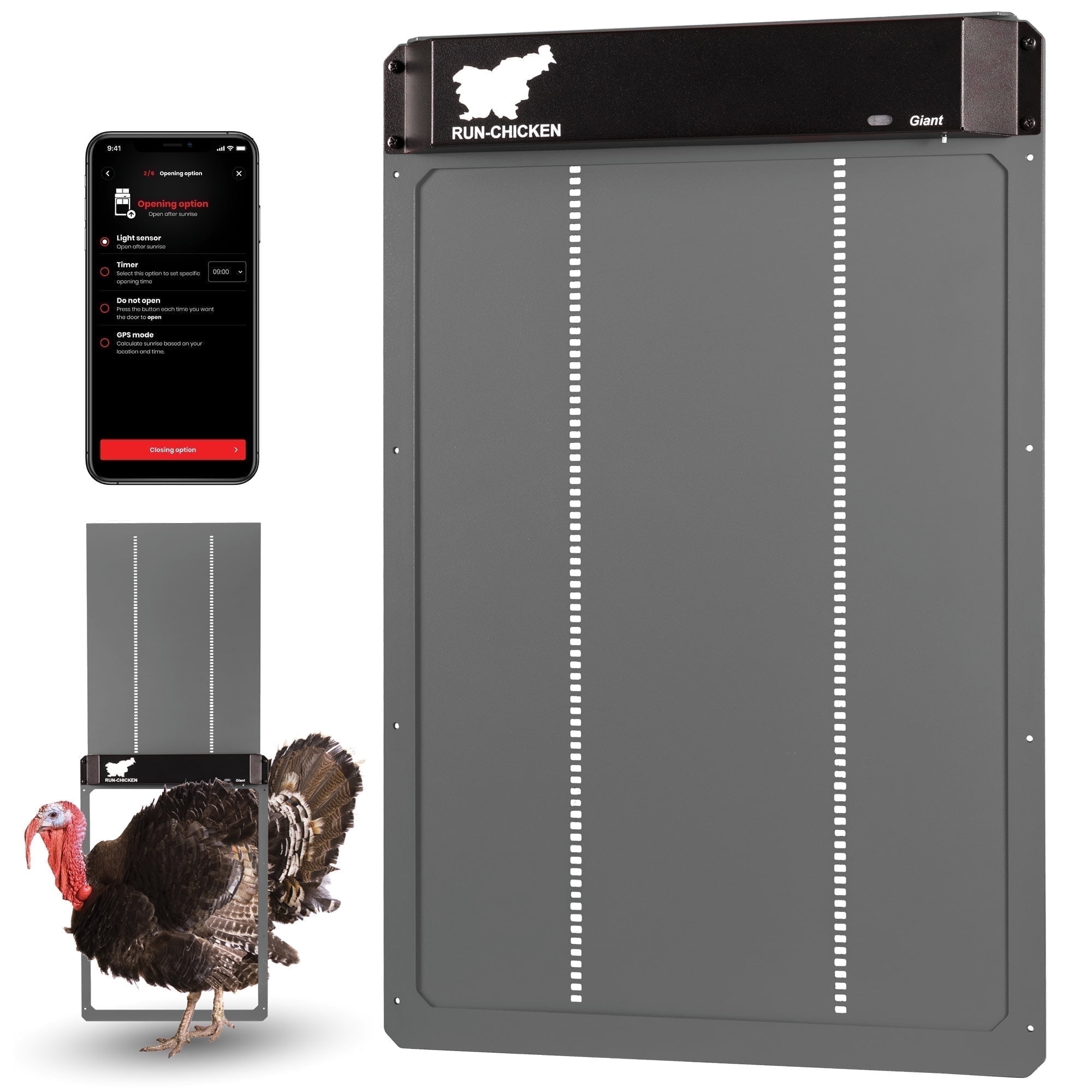 RUN-CHICKEN Door GIANT (Gray) - Automatic Turkey Coop Door Opener with ...