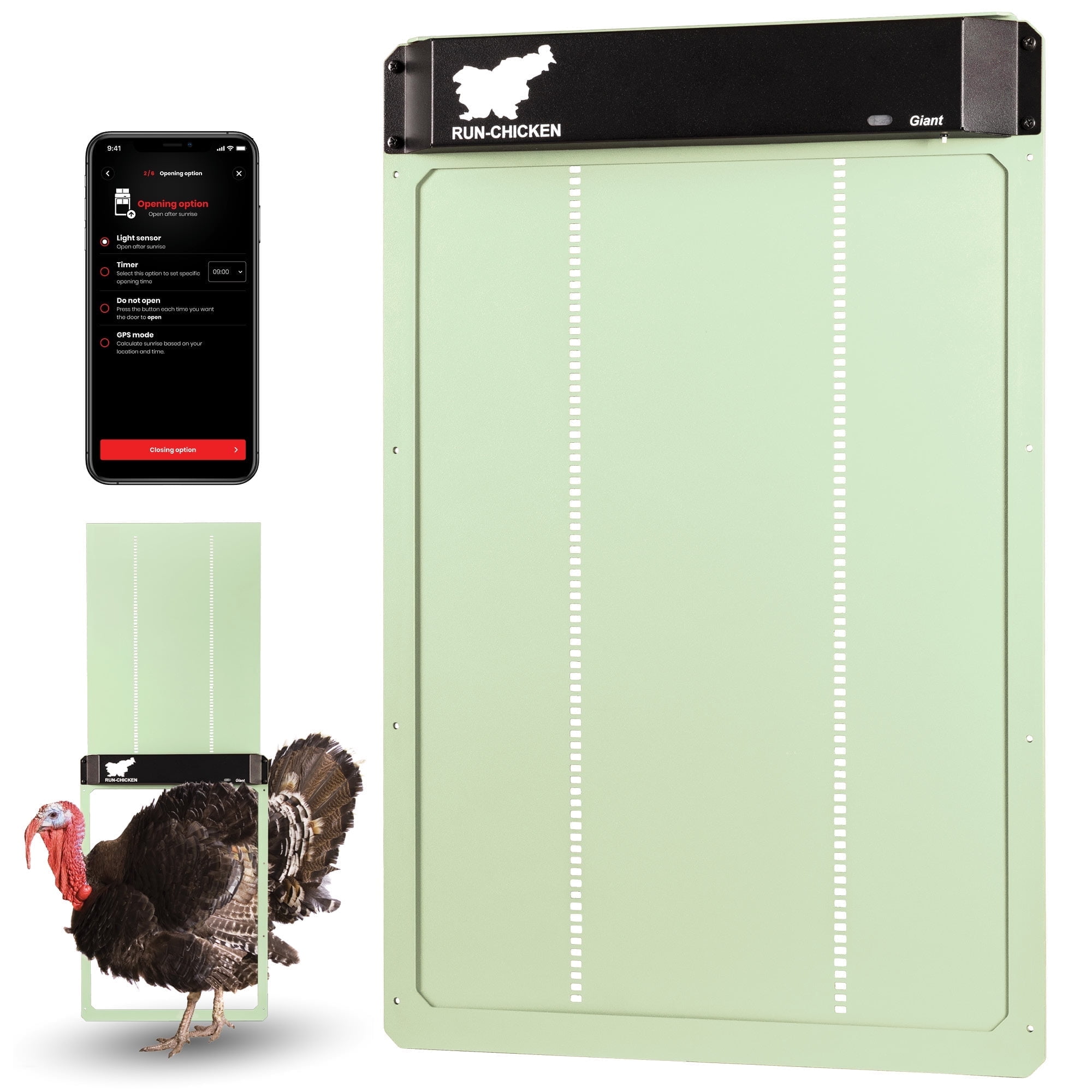 RUN-CHICKEN - GIANT Automatic Coop Door (Mint) - Walmart.com