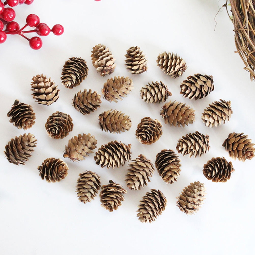 RUNROTOO 100Pcs Mini Pine Cones Assorted Color for Party and Wedding Favors - Walmart.com