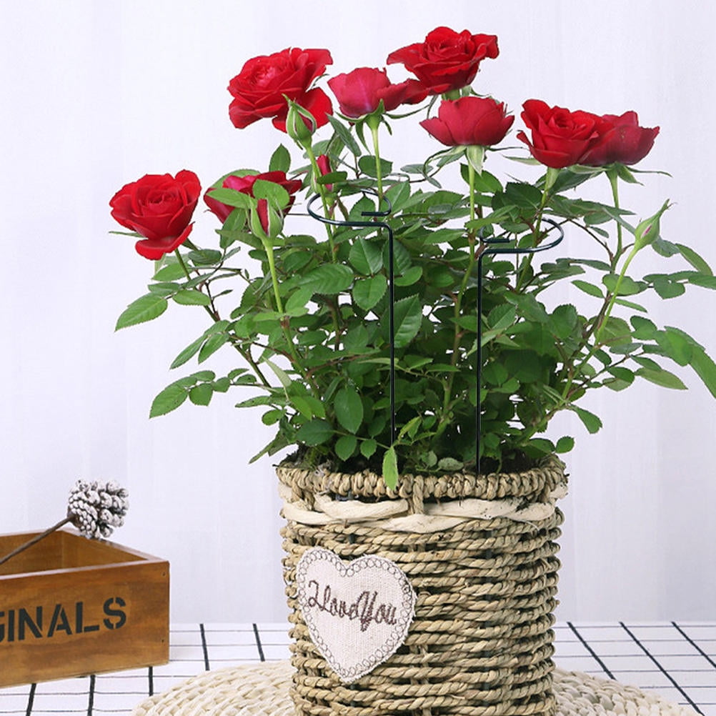 RUNROTOO 4Set Metal Flower Climbing Frame Iron Stem Supports for Garden ...