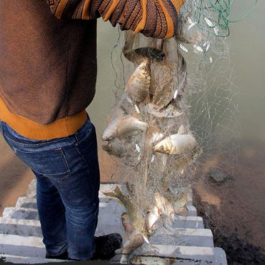 Lydiaunistar Outdoor Fishing Equipment Clearance New Fishing Net Design ...