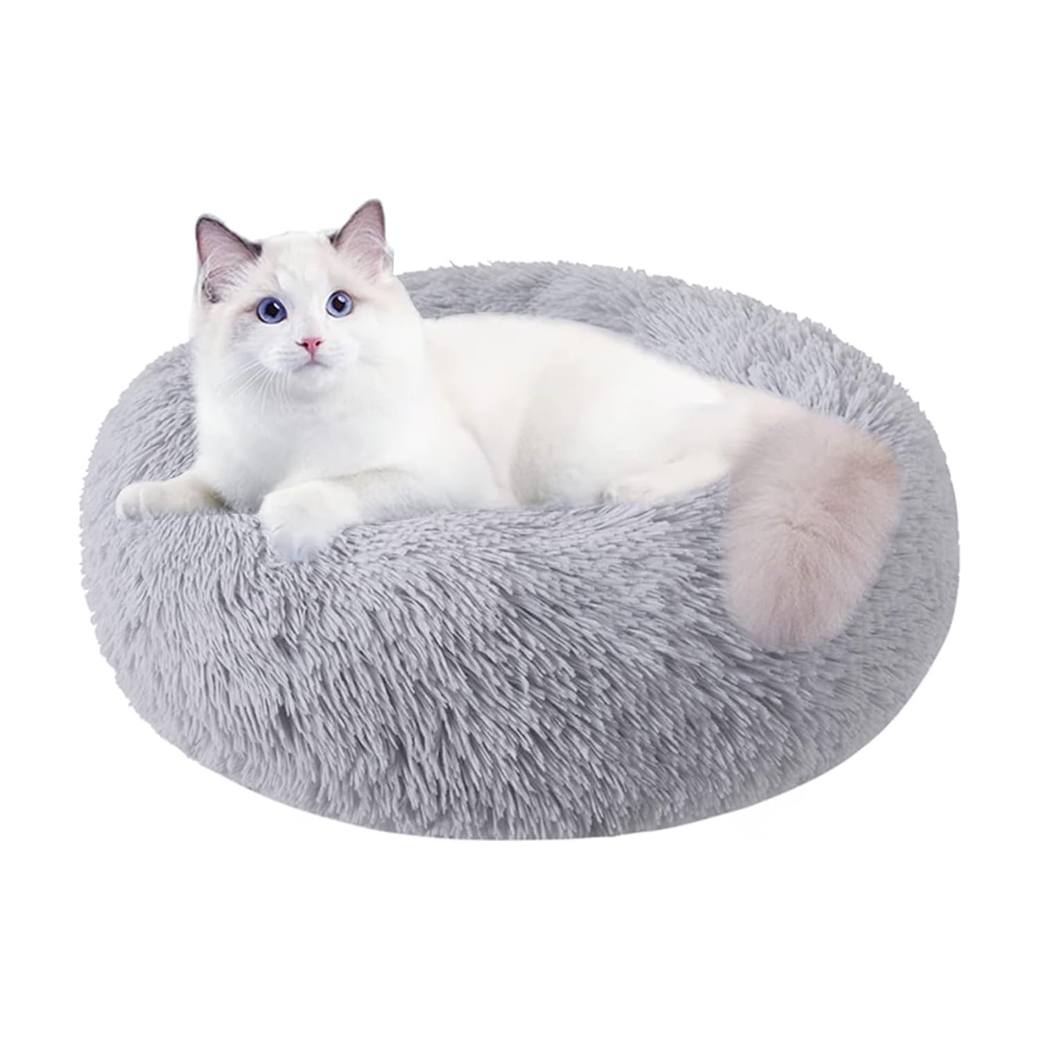 RUseeN Cat Beds for Indoor Cats, 20 inch Dog Bed for Small Medium Dogs ...