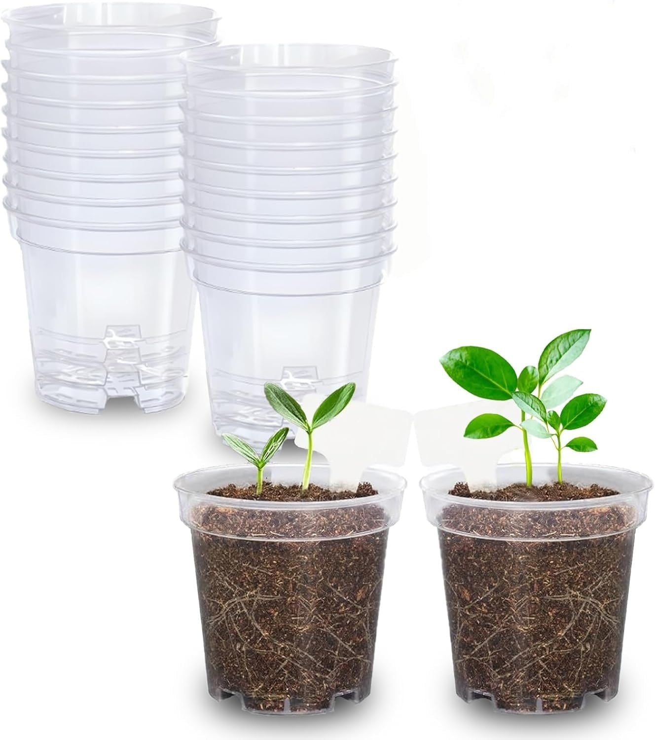 RUseeN Clear Nursery Pots for Plants, 3 Inch Plant Pot for Planting ...