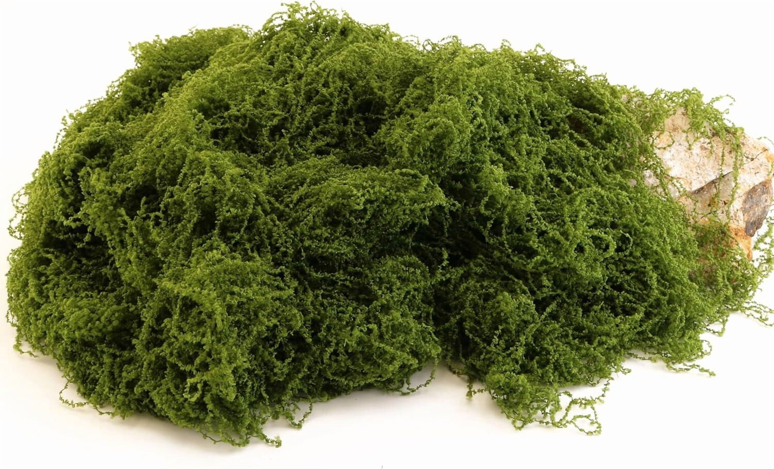 RUseeN Fake Green Moss for Potted Plants Indoor, 5.3oz Artificial Moss ...